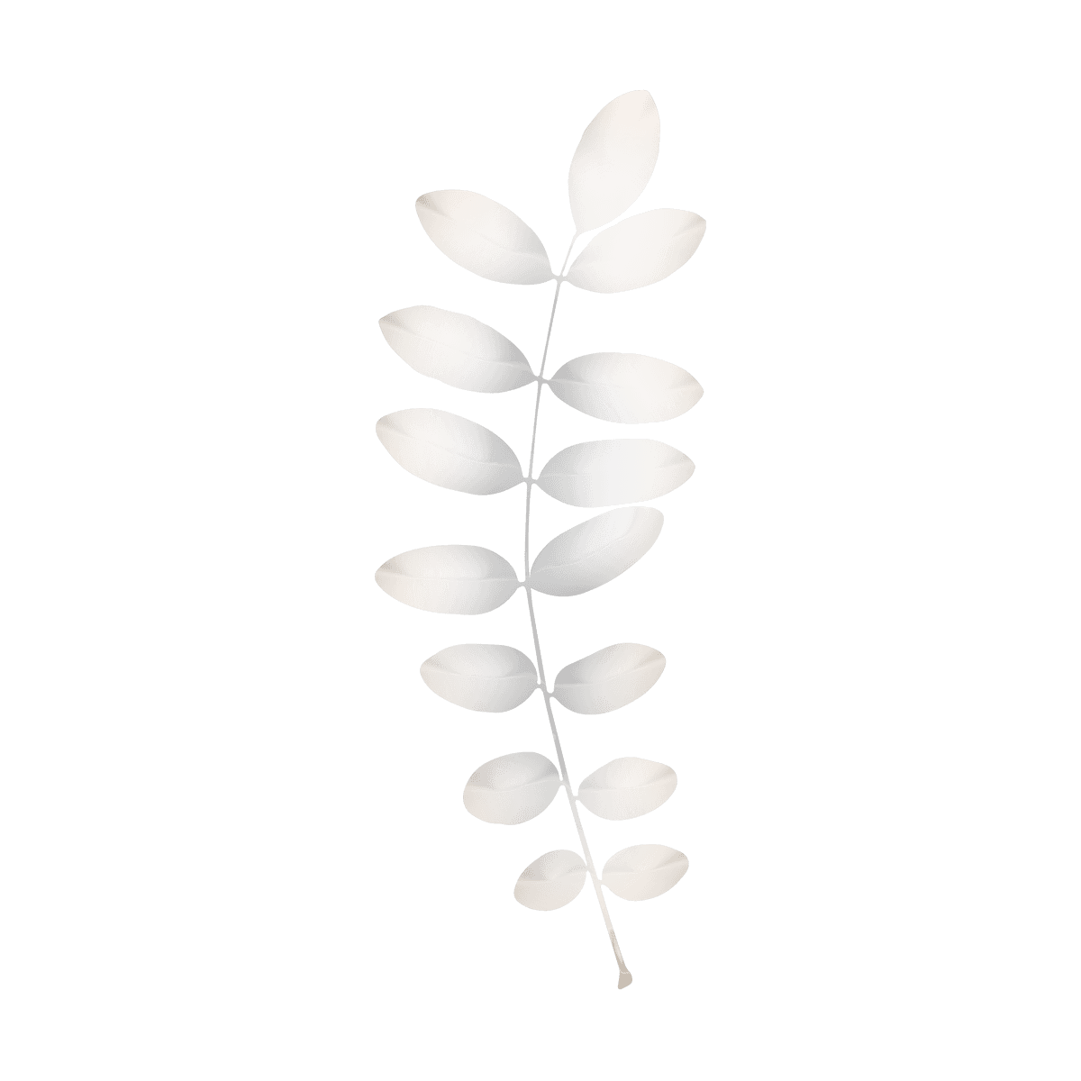 Our Founder: Iza Sia Login | Reemina